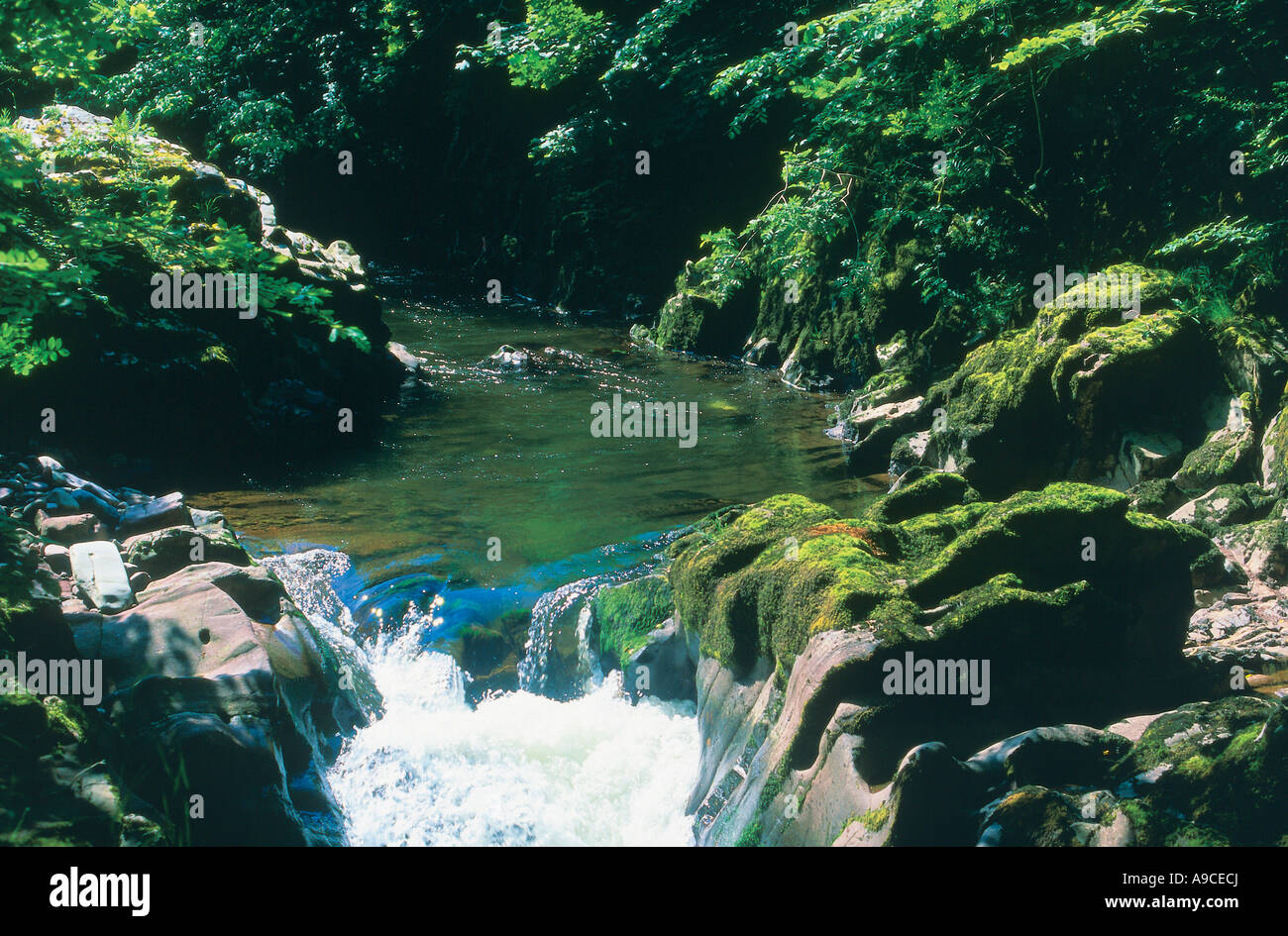 River Sawdde Gorge Near Llanddeusant Stock Photo - Alamy