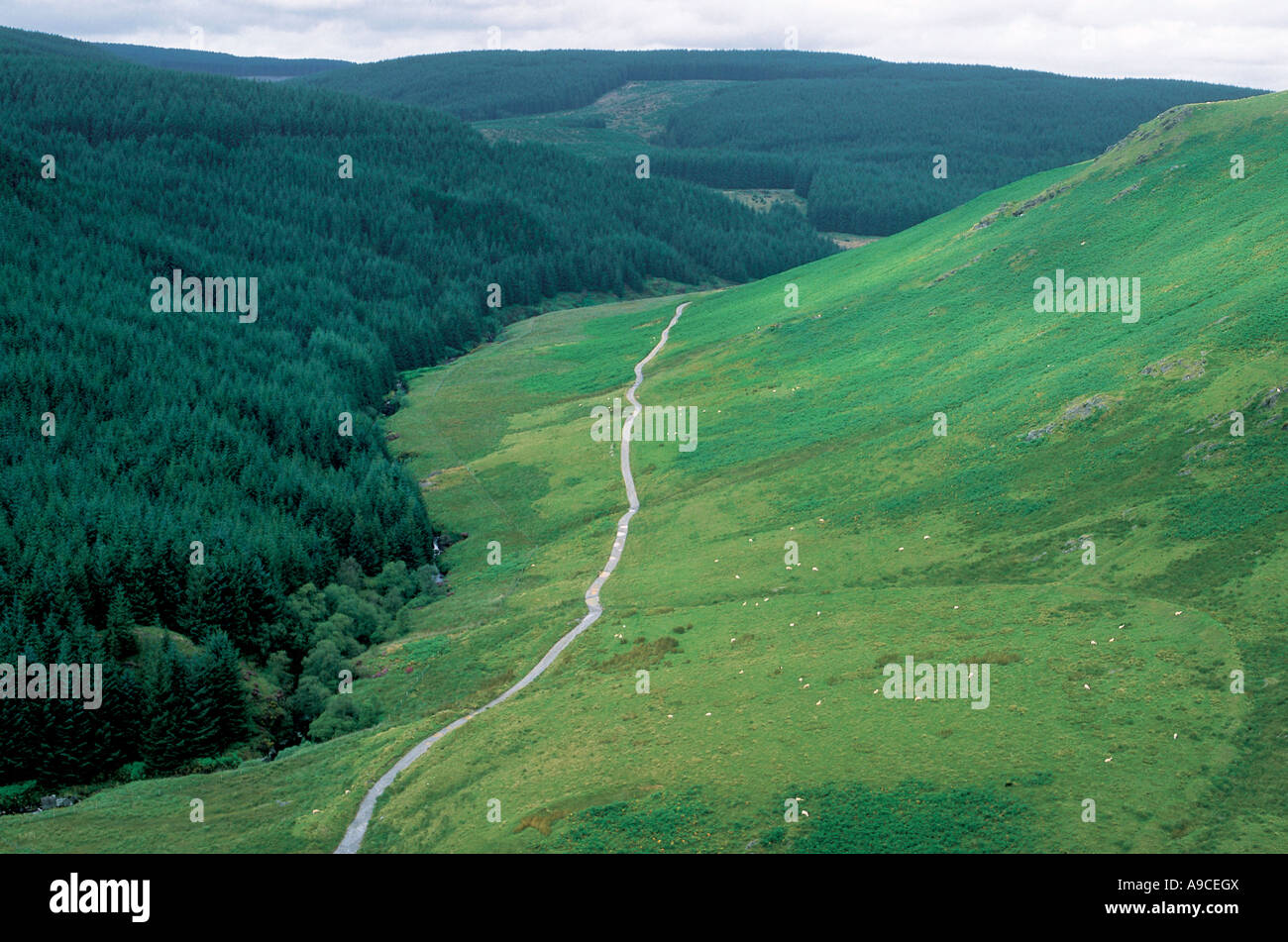 Ancient Track River Tywi Tywi Forest Stock Photo - Alamy