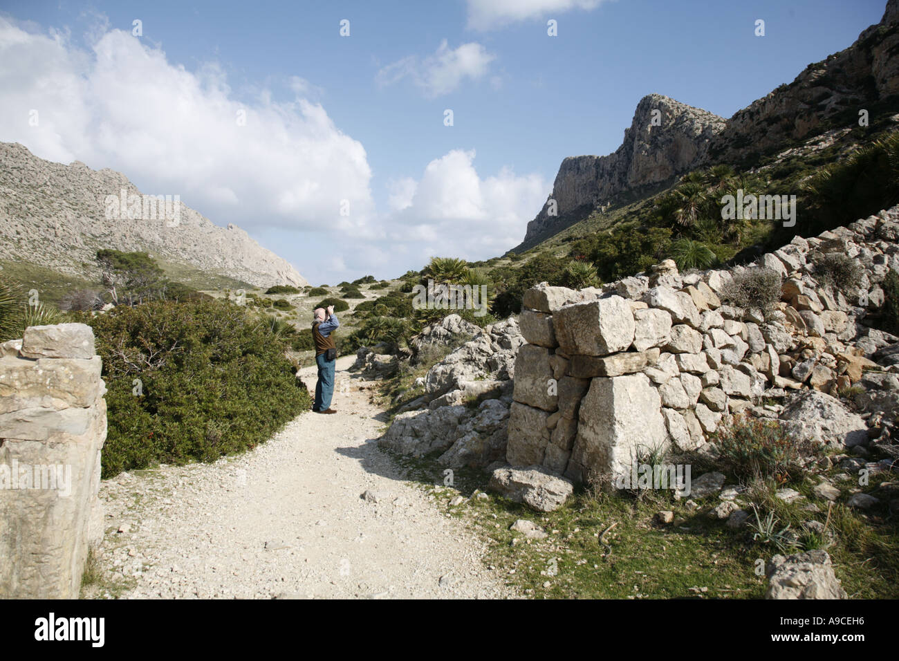 Boquer valley near Port de Pollenca Mallorca A noted location for ...