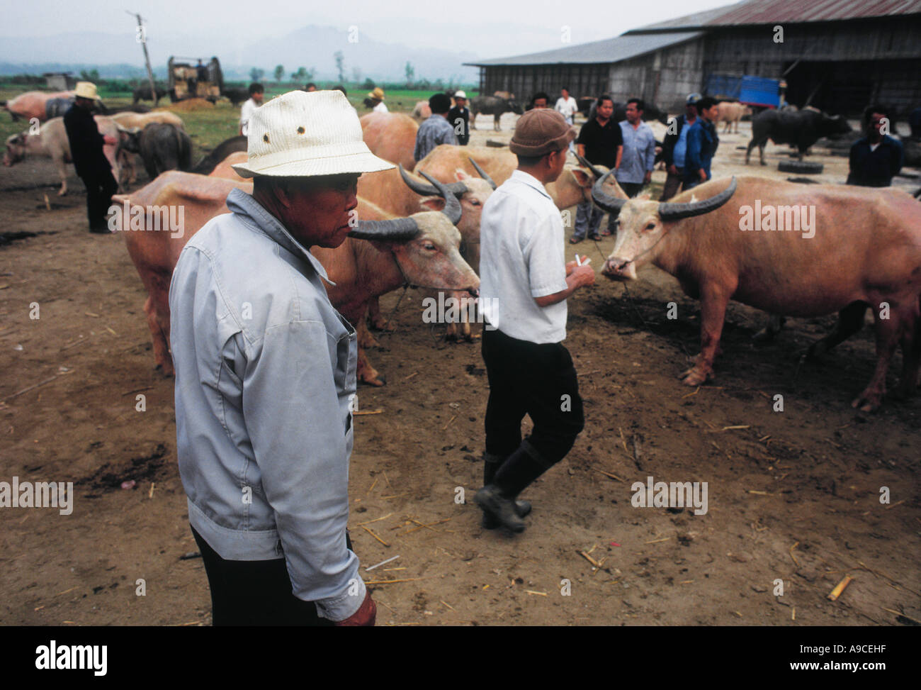 Chiang rai thailand weekend hi-res stock photography and images - Alamy