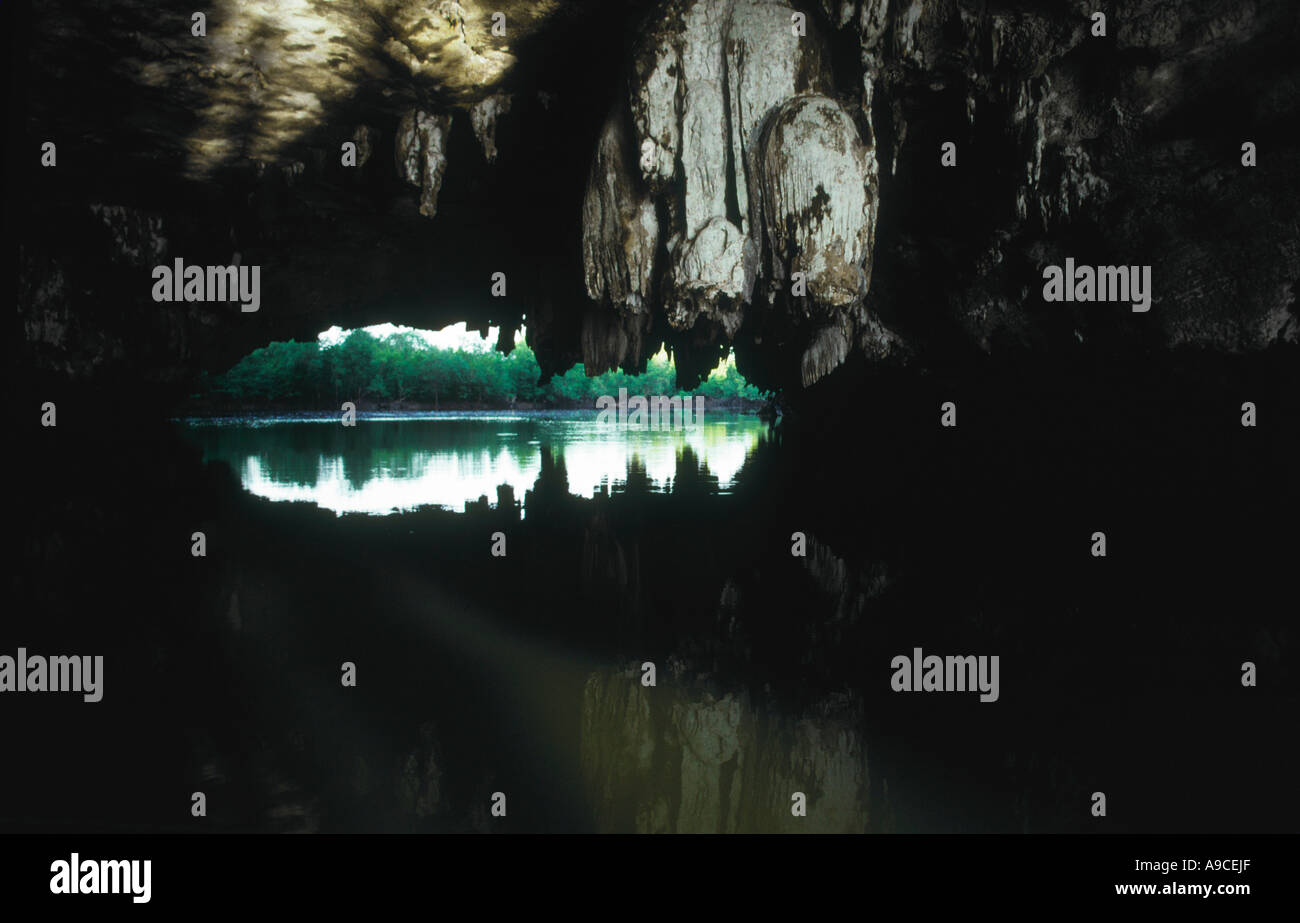 Mangrove cave hi-res stock photography and images - Alamy