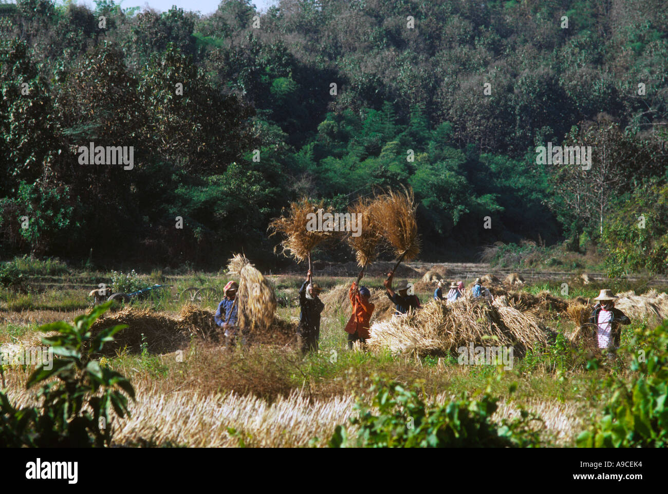 Ahka hi-res stock photography and images - Alamy