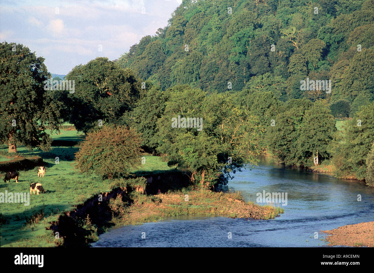 Llandeilo Bridge High Resolution Stock Photography and Images - Alamy