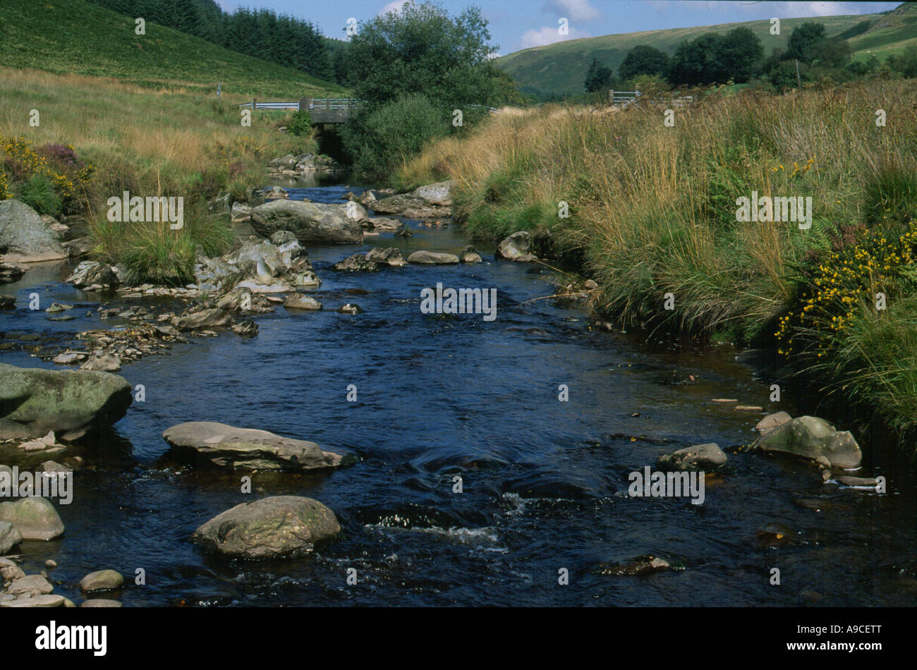 Tywi Bridge High Resolution Stock Photography and Images - Alamy
