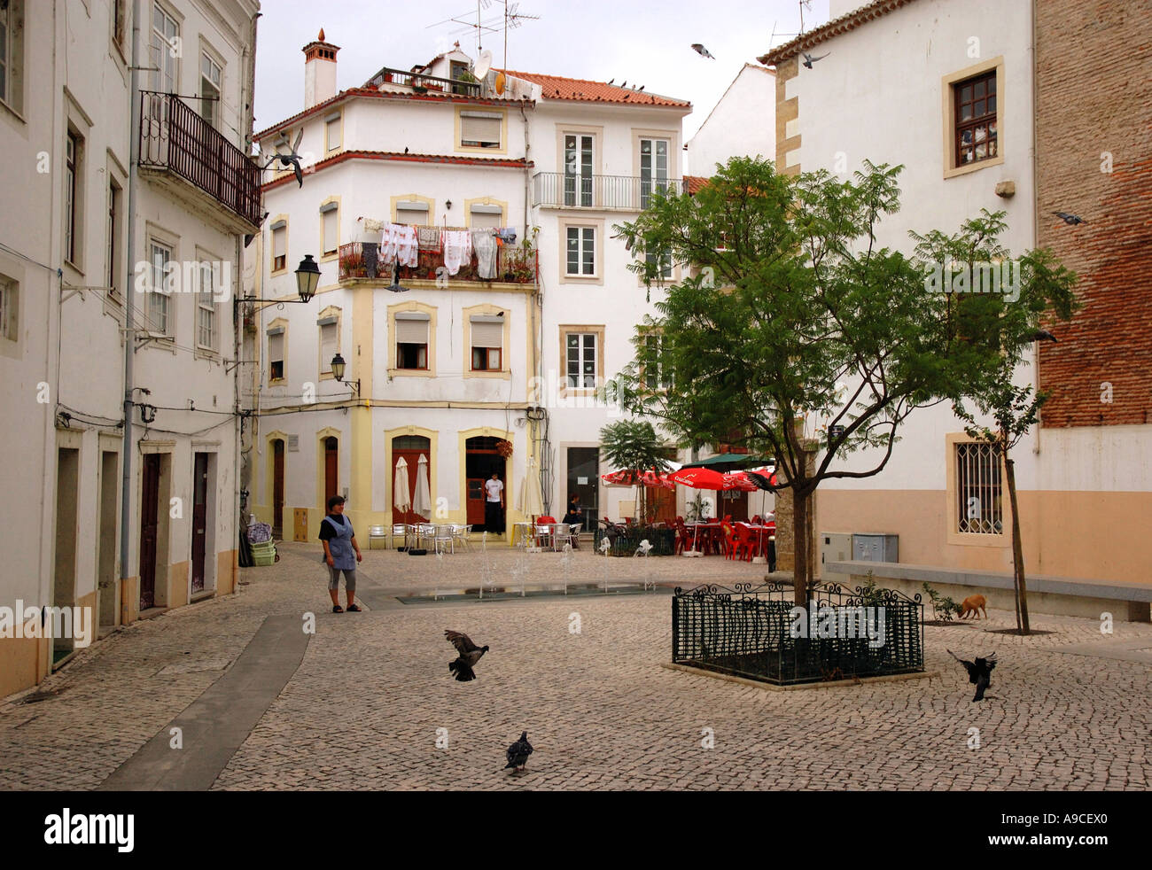 View of characteristic architecture little square white building shop ...