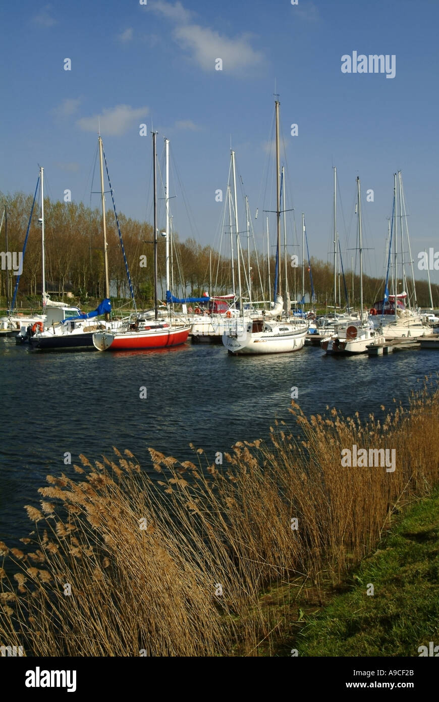 france normand manche cotentin peninsula carentan harbour Stock Photo ...