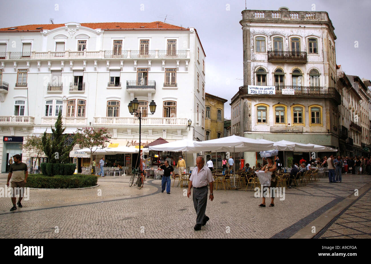 View of magnificent lively main square characteristic architecture ...