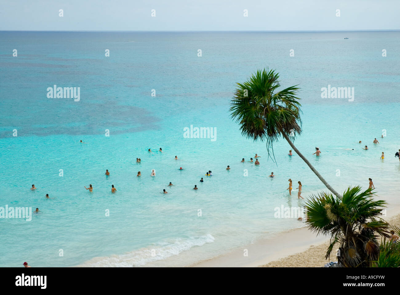 Tulum people having a bath palm in close up Stock Photo - Alamy