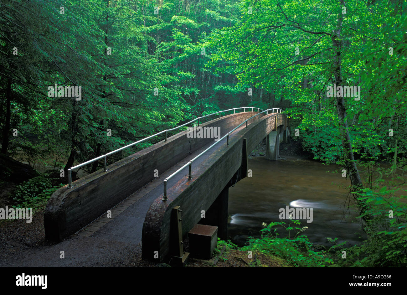 Bridge over Indian River Sitka National Historical Park Sitka Alaska ...