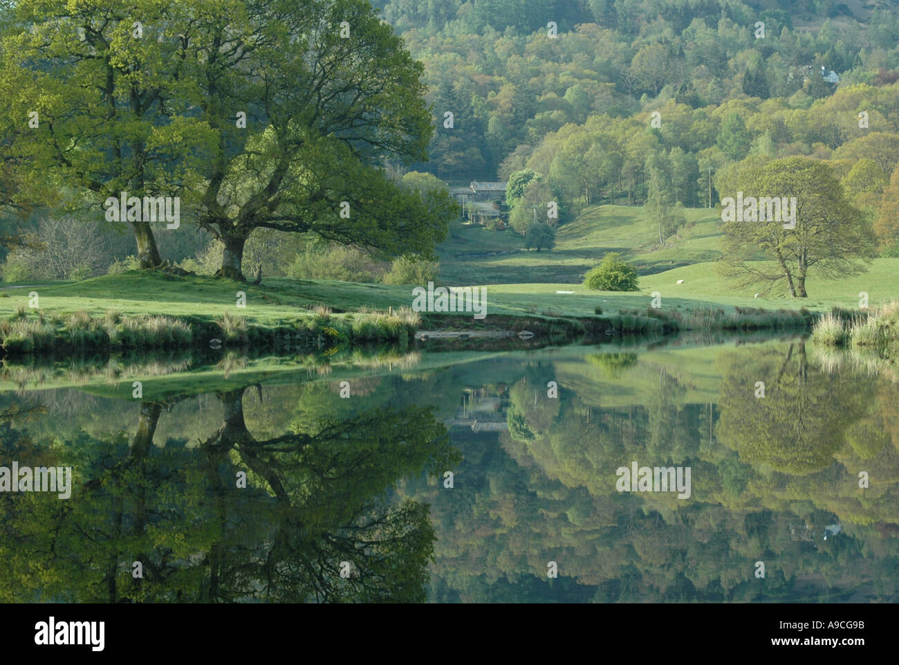 Elterwater Lake District Cumbria England UK Stock Photo - Alamy