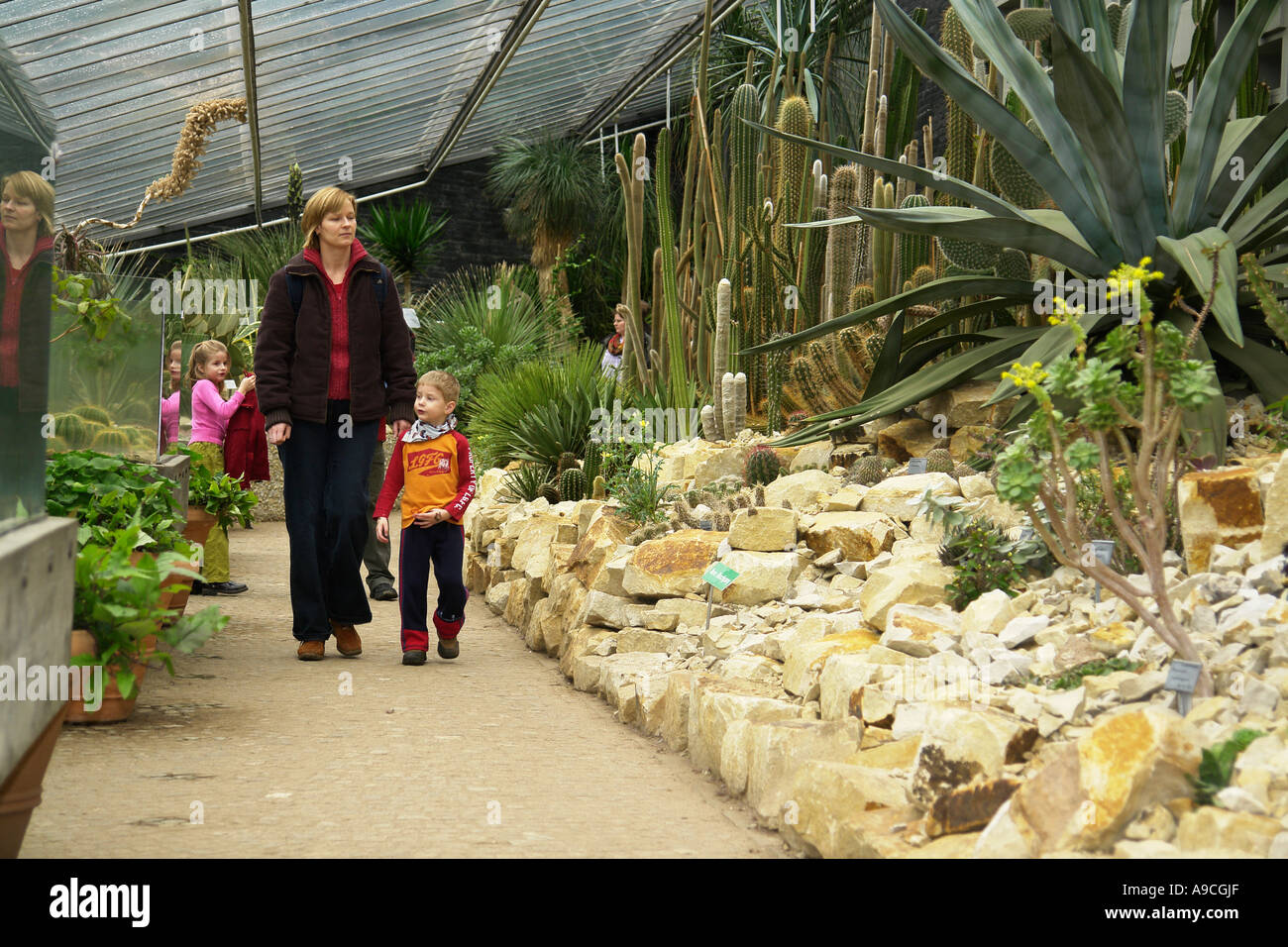 Old Botanical garden Hamburg Germany Stock Photo - Alamy