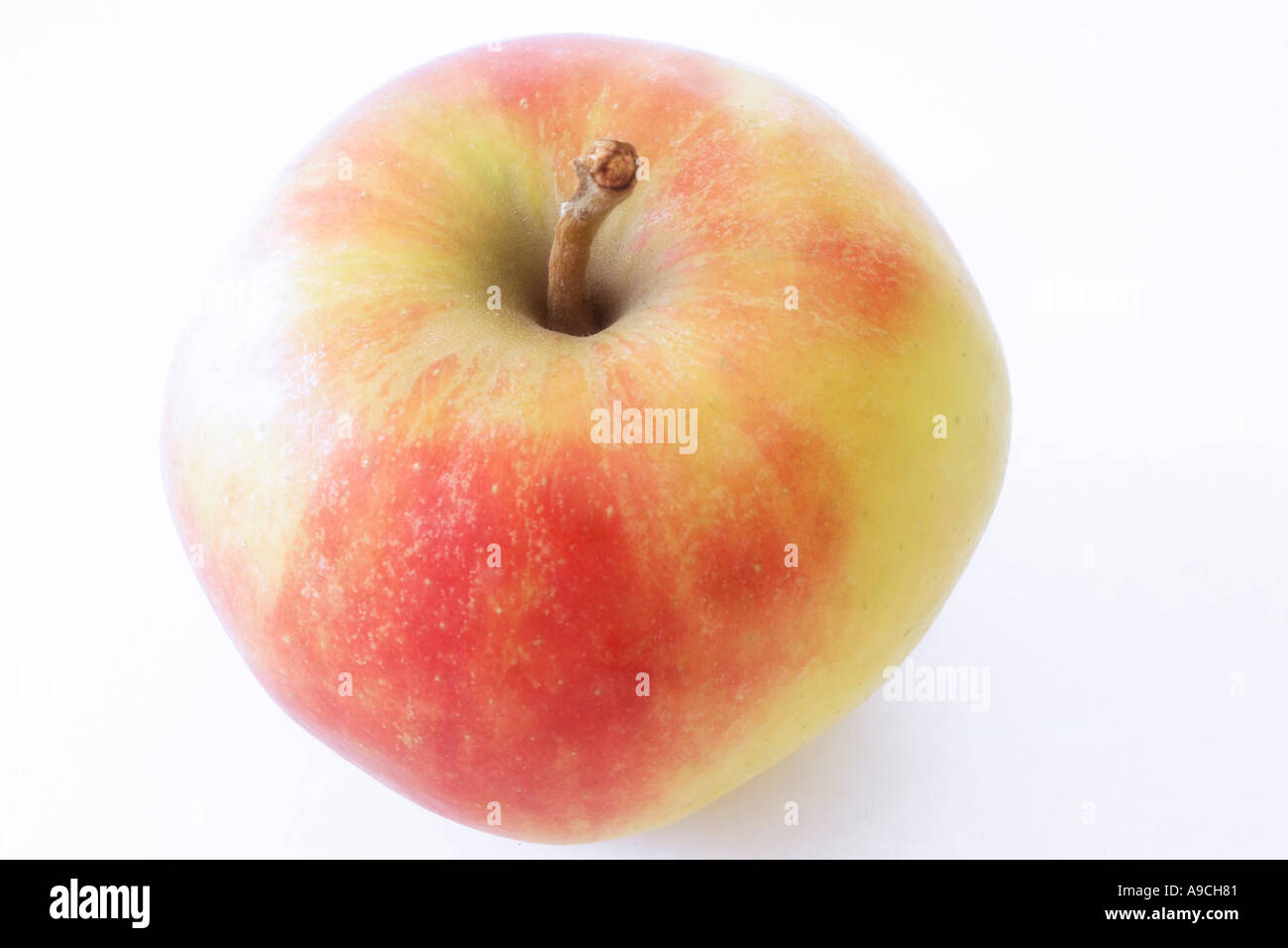 Elstar apple hi-res stock photography and images - Alamy
