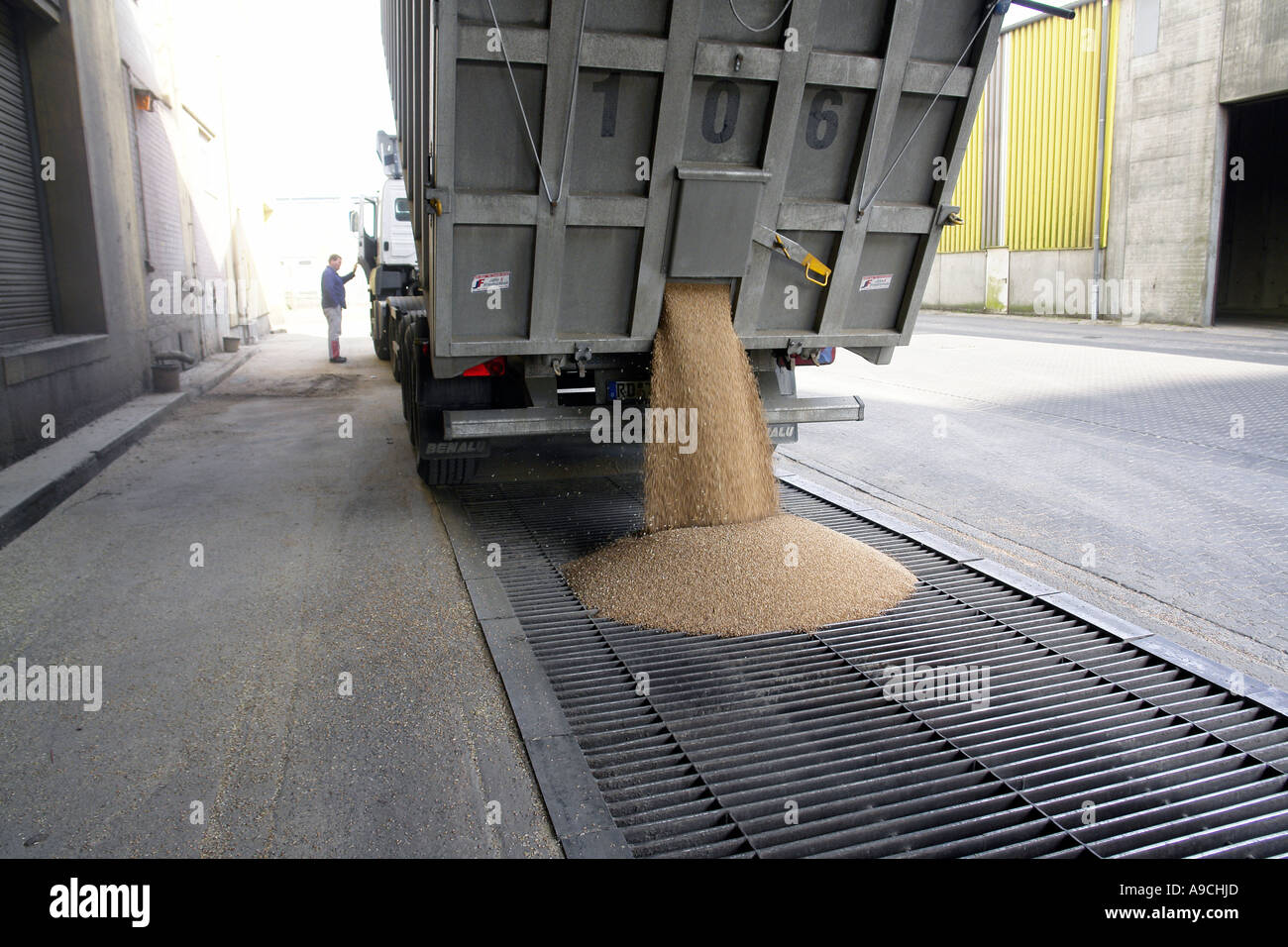 Raw wheat were being loaded into warehouse at harbour Rendsburg ...