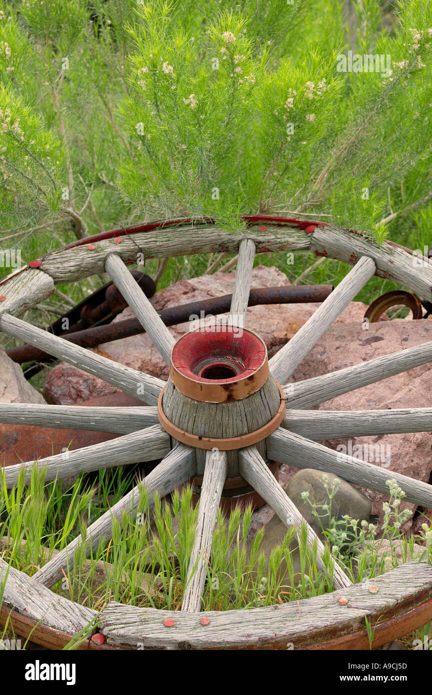 A wagon wheel at an old restored gold mine near Lake Mohave Nelson ...