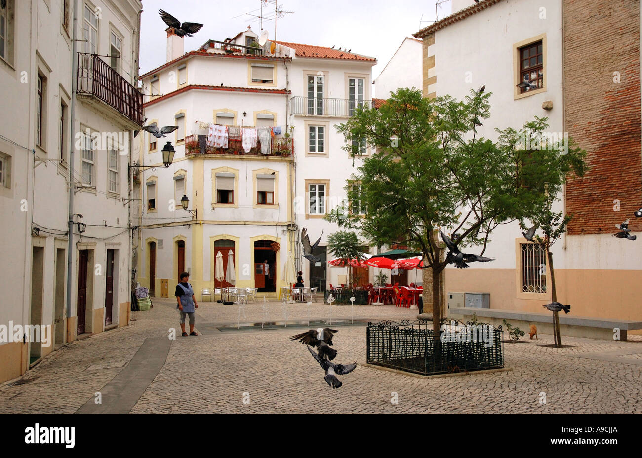View of characteristic architecture little square white building shop ...