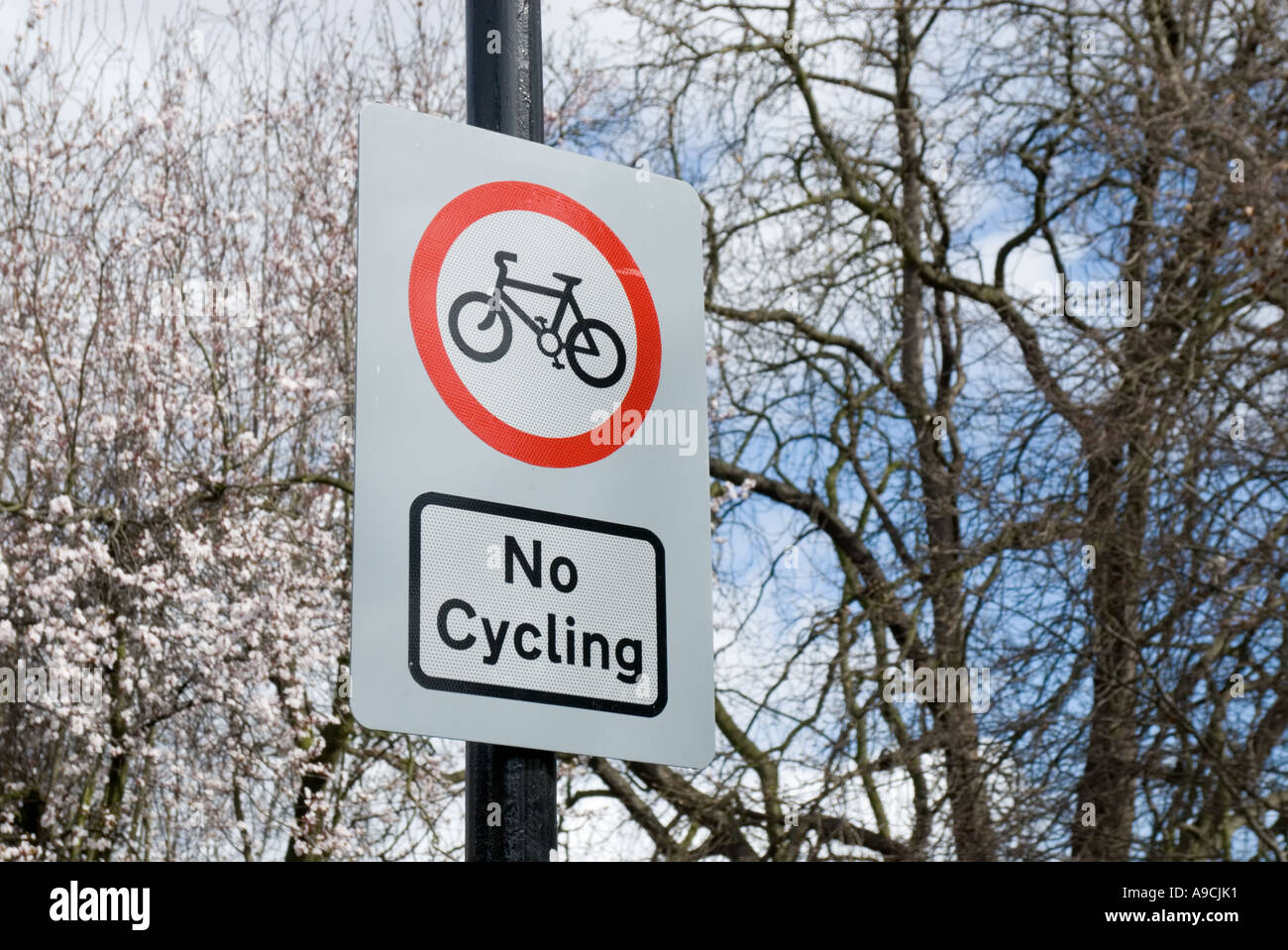 Traffic sign indicating no cycling allowed Stock Photo - Alamy