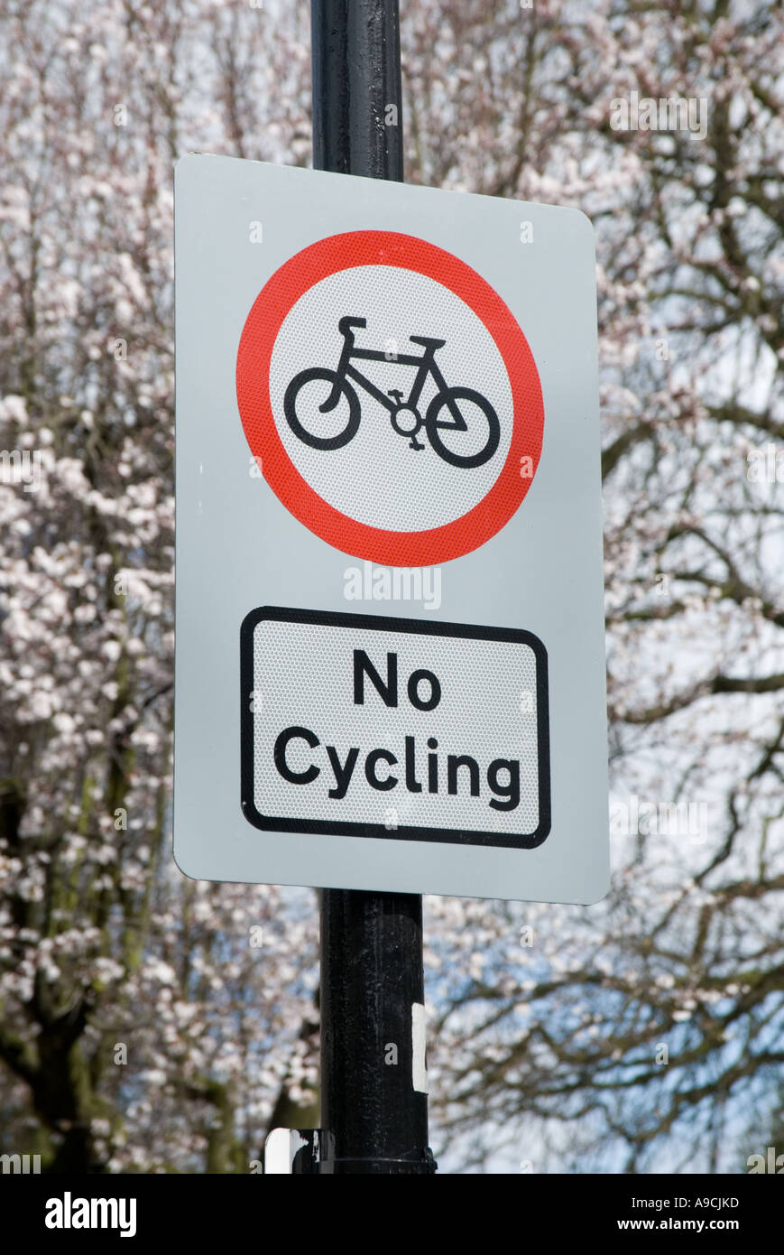 Traffic sign indicating no cycling allowed Stock Photo - Alamy
