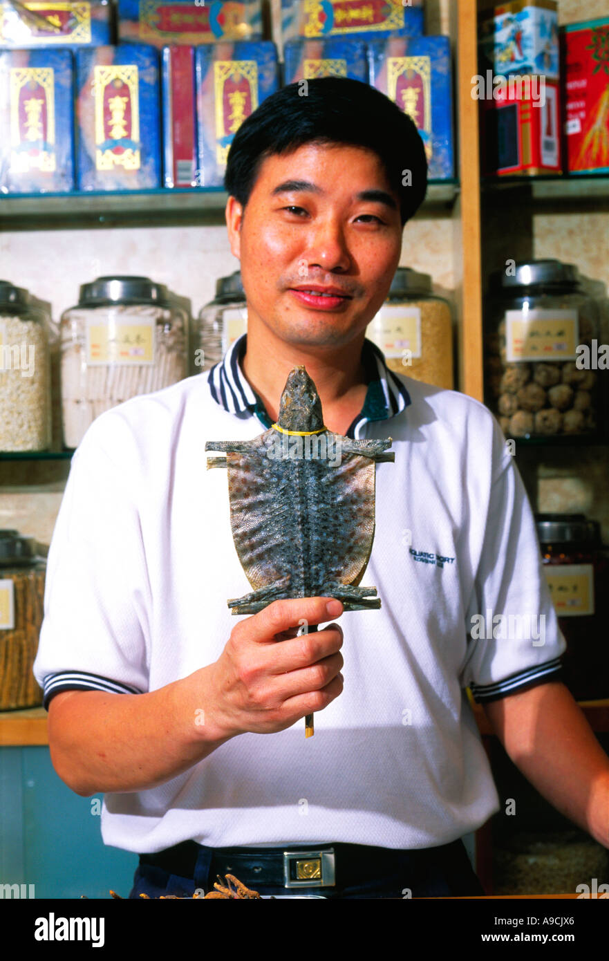 Chinese Toad High Resolution Stock Photography and Images - Alamy