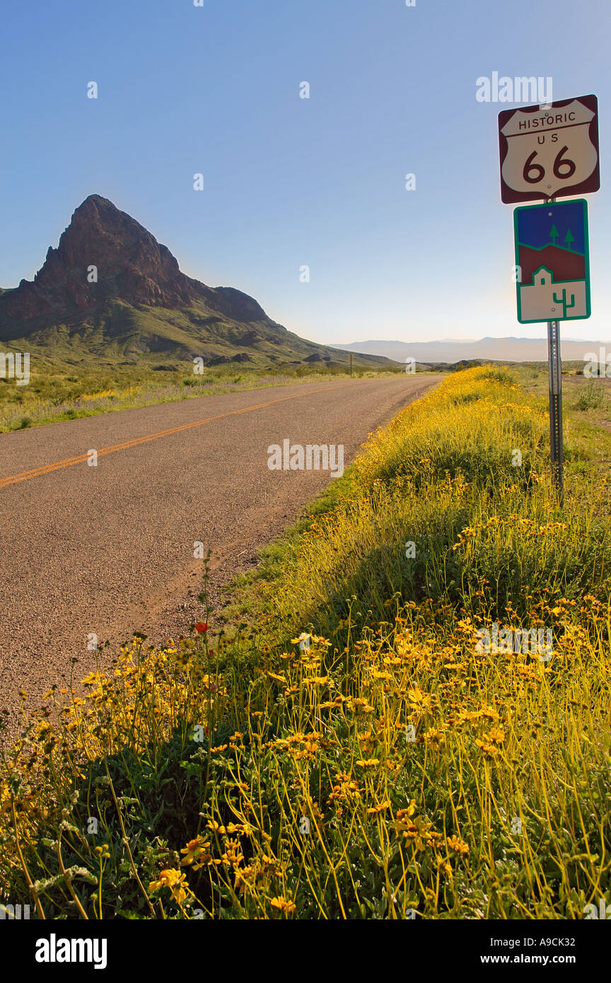 Wildflowers along route 66 near hi-res stock photography and images - Alamy