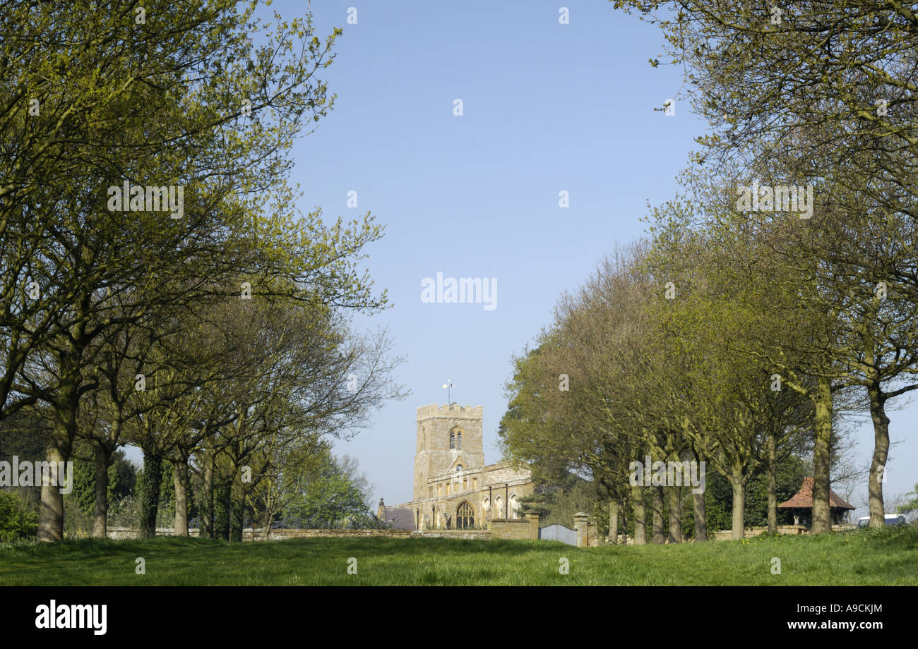 Great Brington Church viewed along tree lined avenue Stock Photo - Alamy