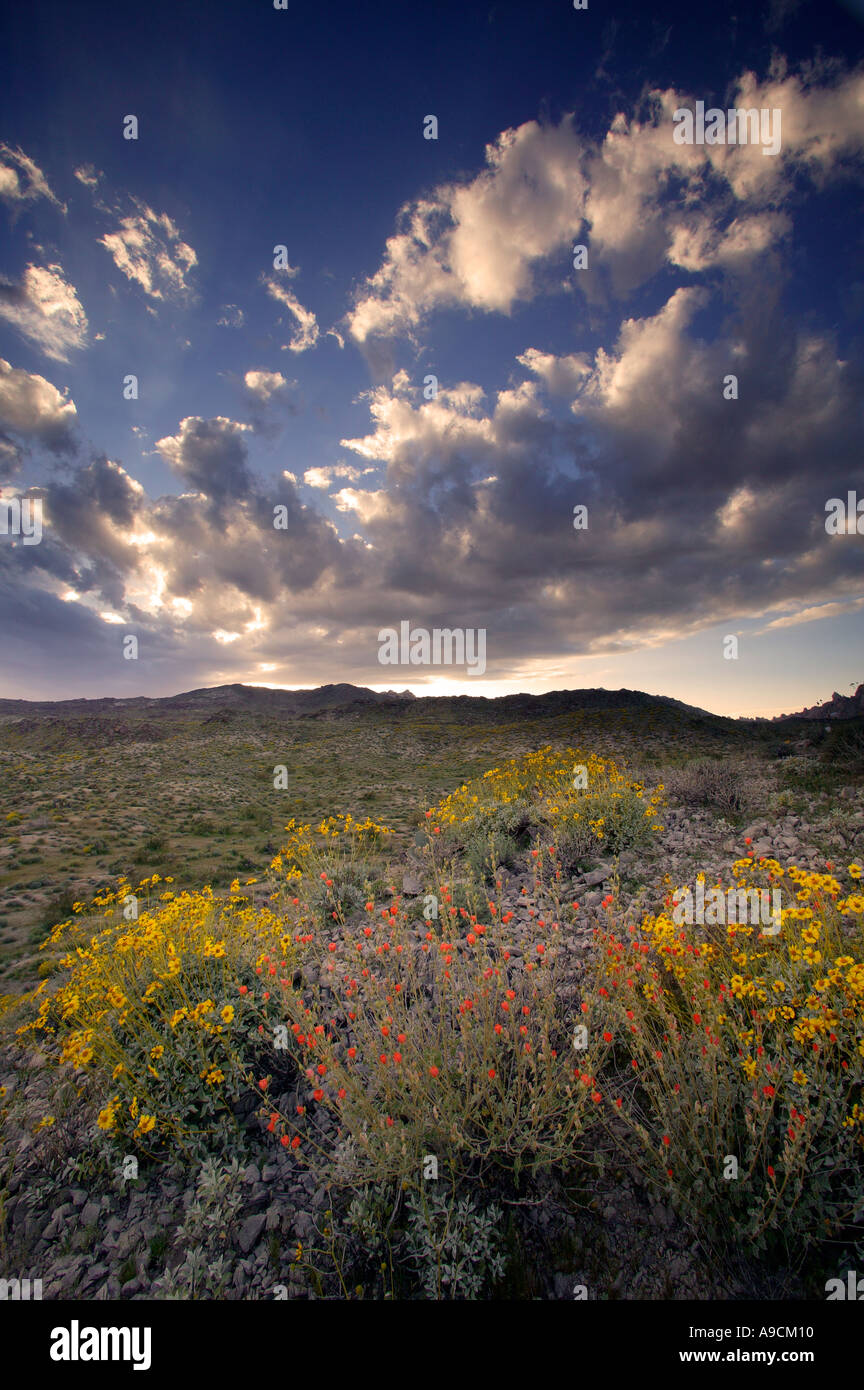 Newberry Mountains from along Christmas Tree Pass Road Lake Mead ...