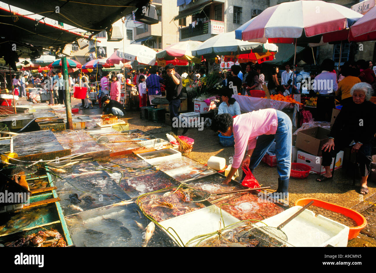 Open fish market sell live fishes in Cheung Chau island Hong Kong china ...