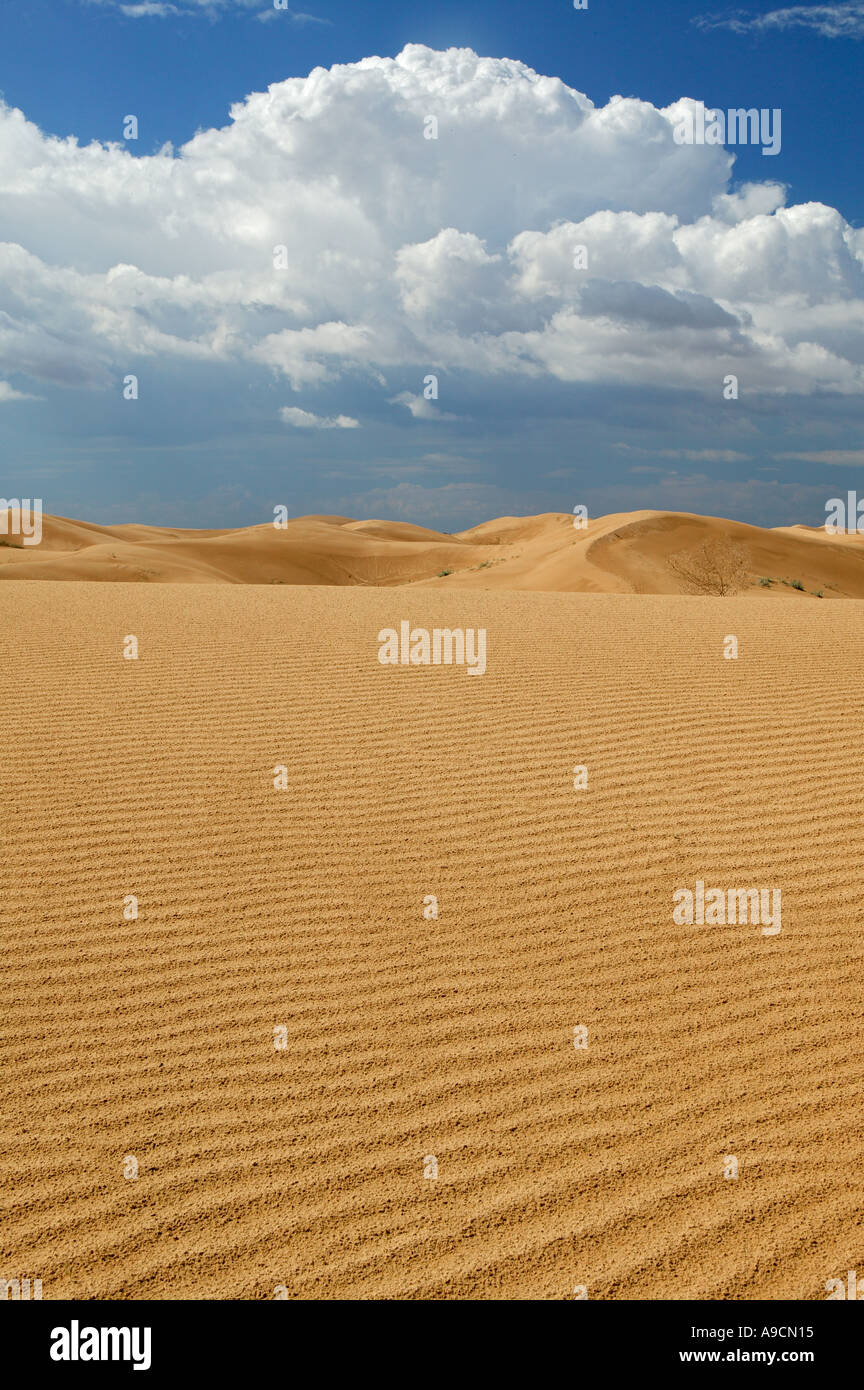 Imperial Sand Dunes Recreation Area Southern California Stock Photo - Alamy