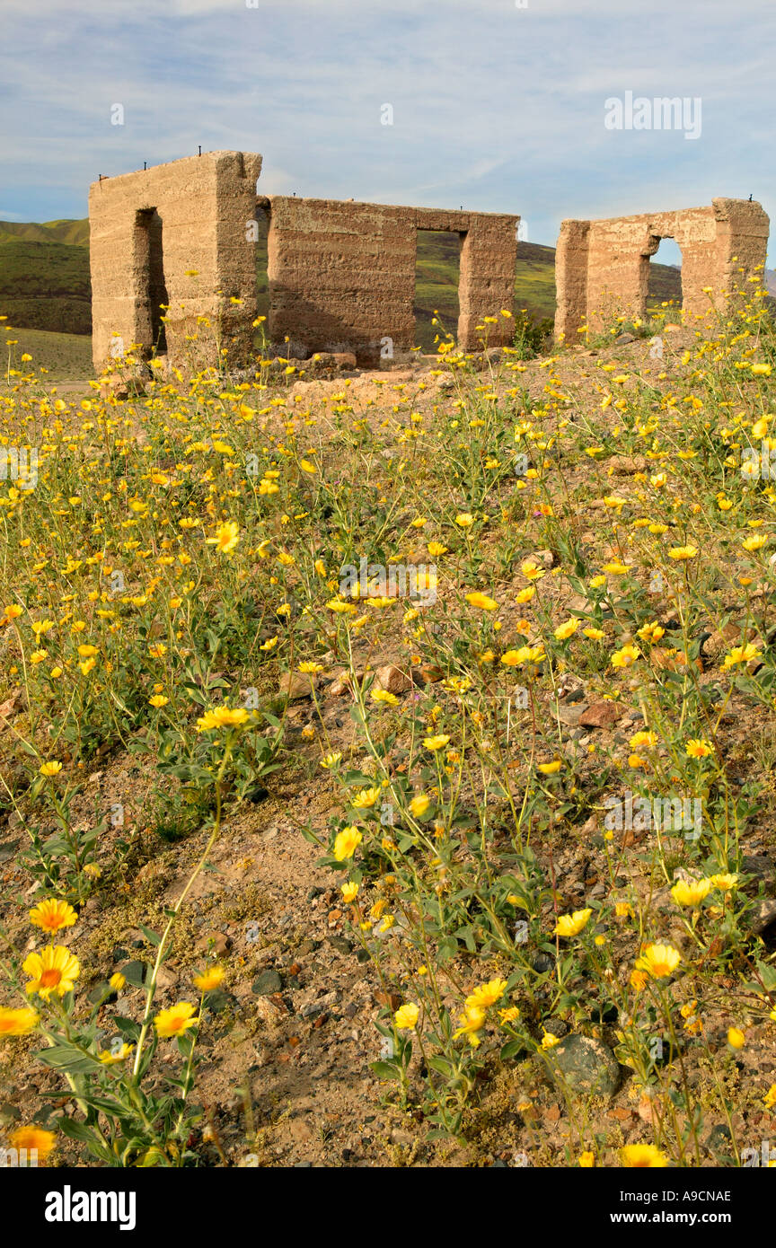 The Ashford Mill ruins Death Valley National Park California Stock ...