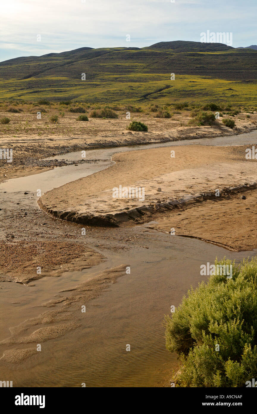 The Amargosa River near the Asford Mill ruins Death Valley National ...