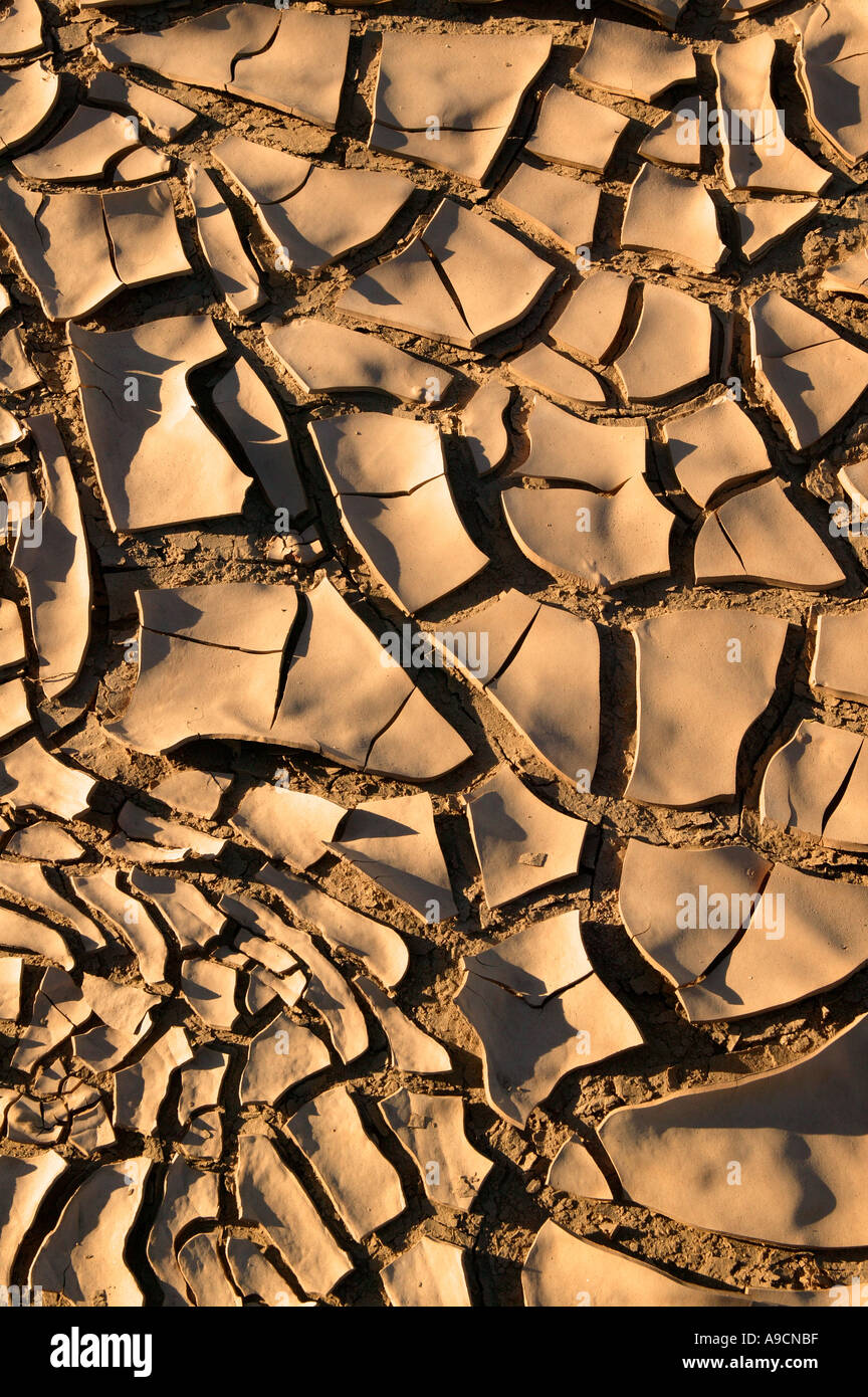 Dried mud in the Amargosa River bed Death Valley National Park ...