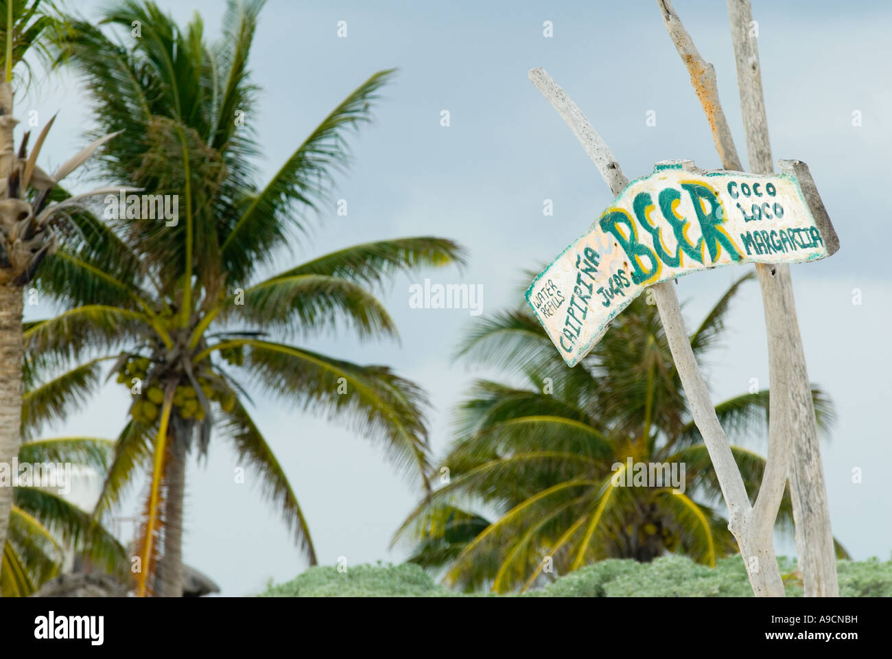 Tulum caribbean palms and drink sign beer mojto margarita Stock Photo ...