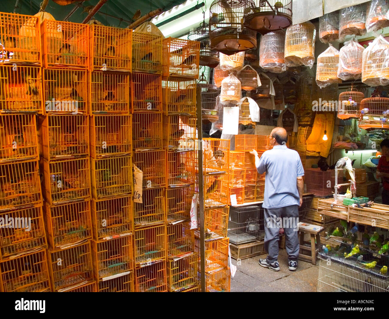 China Hong Kong Mong Kok Bird garden Yuen Po street Stock Photo - Alamy