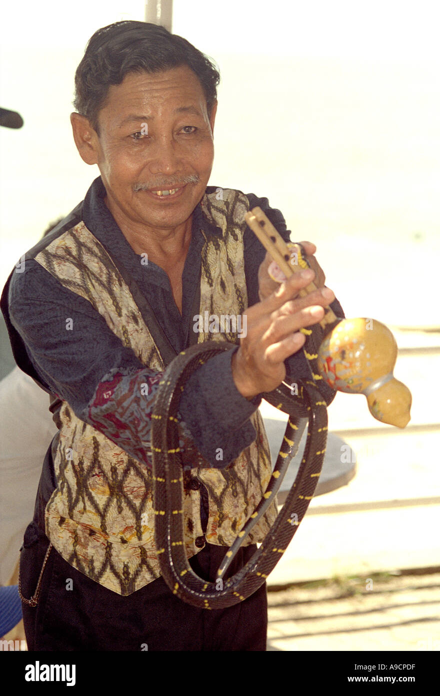 King cobra snake male hi-res stock photography and images - Alamy