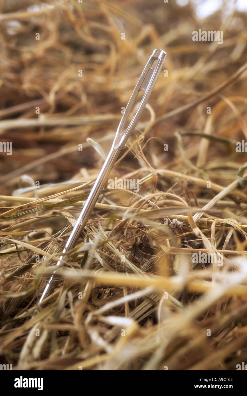 Hiding in a haystack hi-res stock photography and images - Alamy