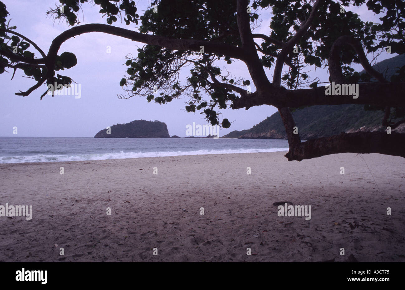 La Playa Cata on a peaceful foggy afternoon in Venezuela Stock Photo ...