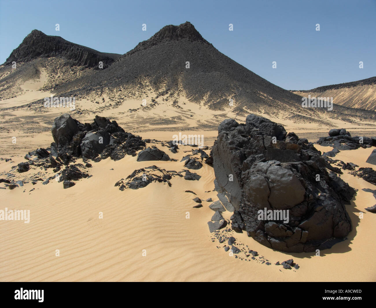 Shiny black volcanic rock strewn over the sand in the Black Desert ...