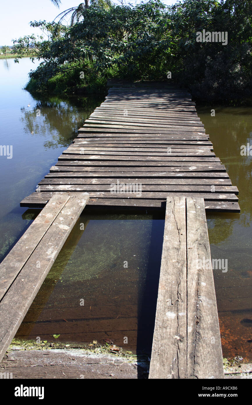 Plank crossing a creek hi-res stock photography and images - Alamy