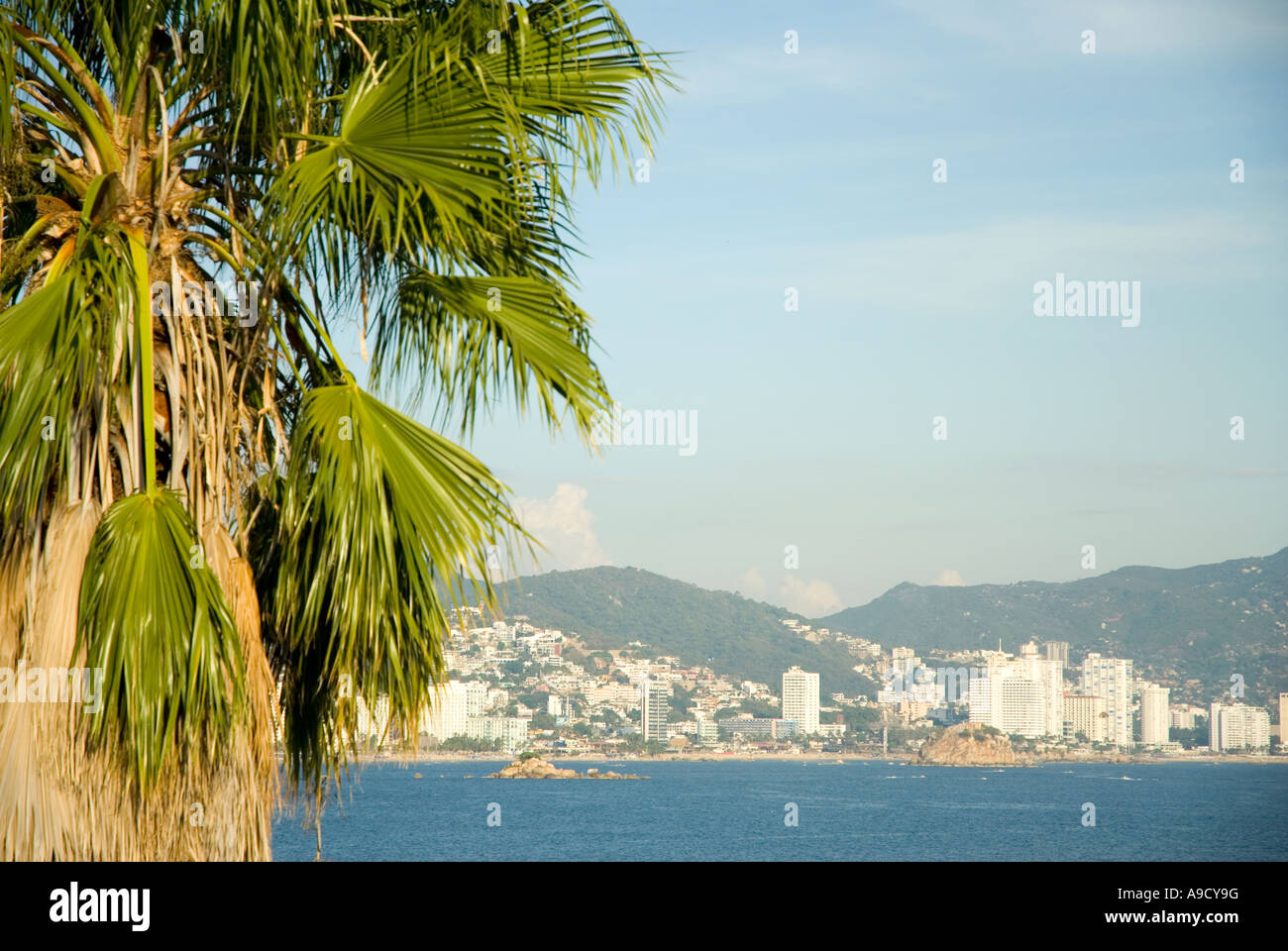 Acapulco palm and panoramic view - Mexico Stock Photo - Alamy