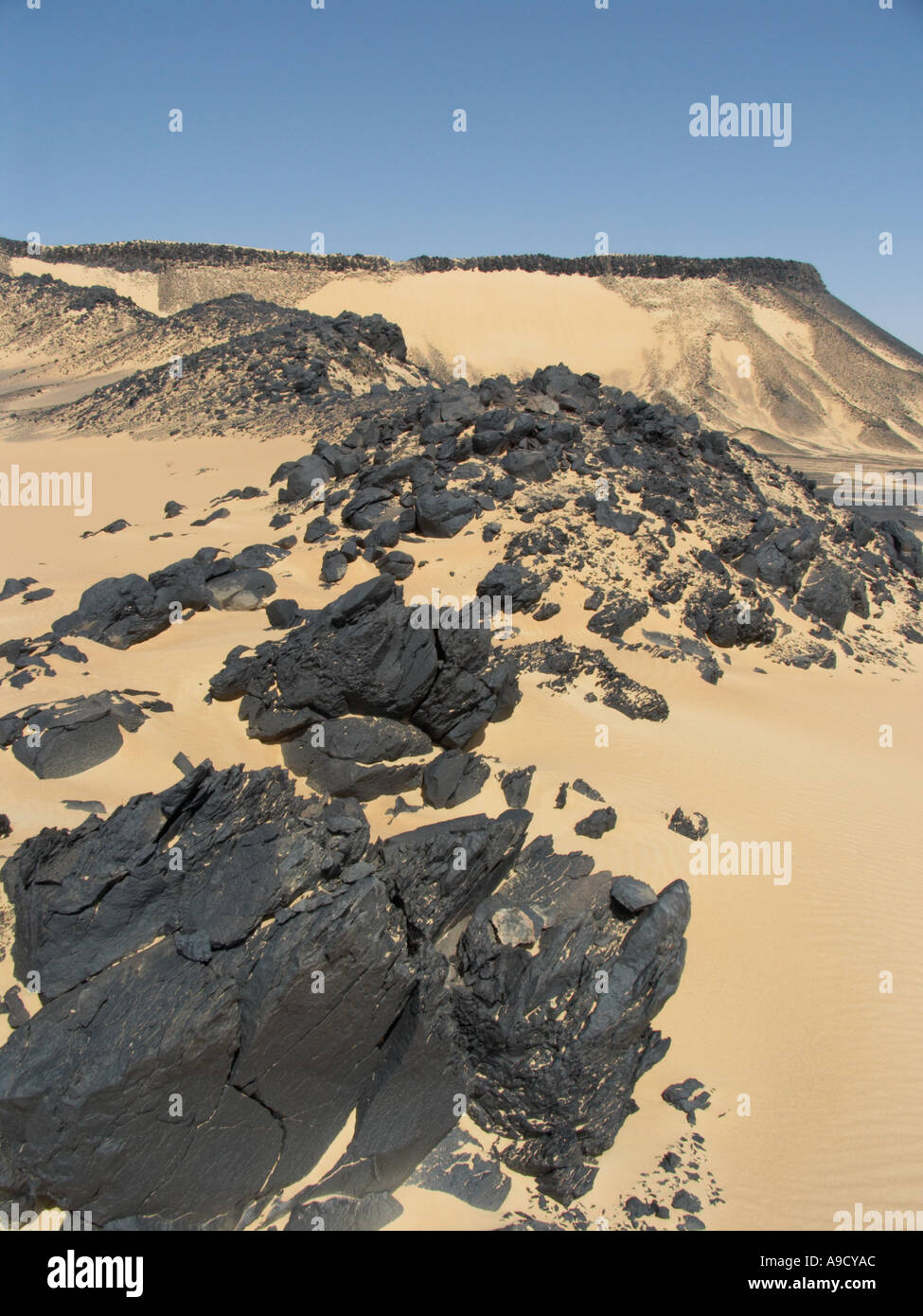 Shiny black volcanic rock strewn over the sand in the Black Desert ...