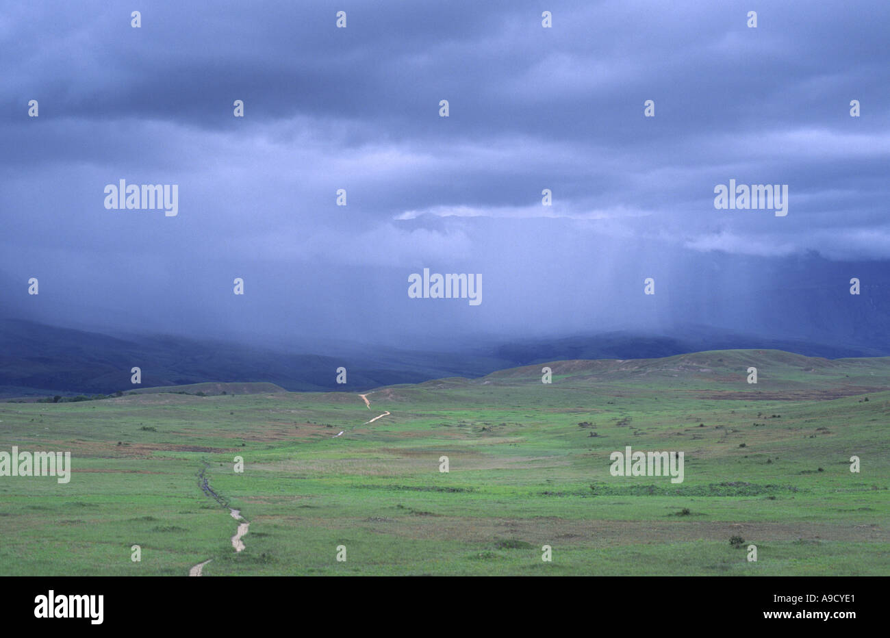 Heavy rain in the grasslands La Gran Sabana Venezuela Stock Photo - Alamy
