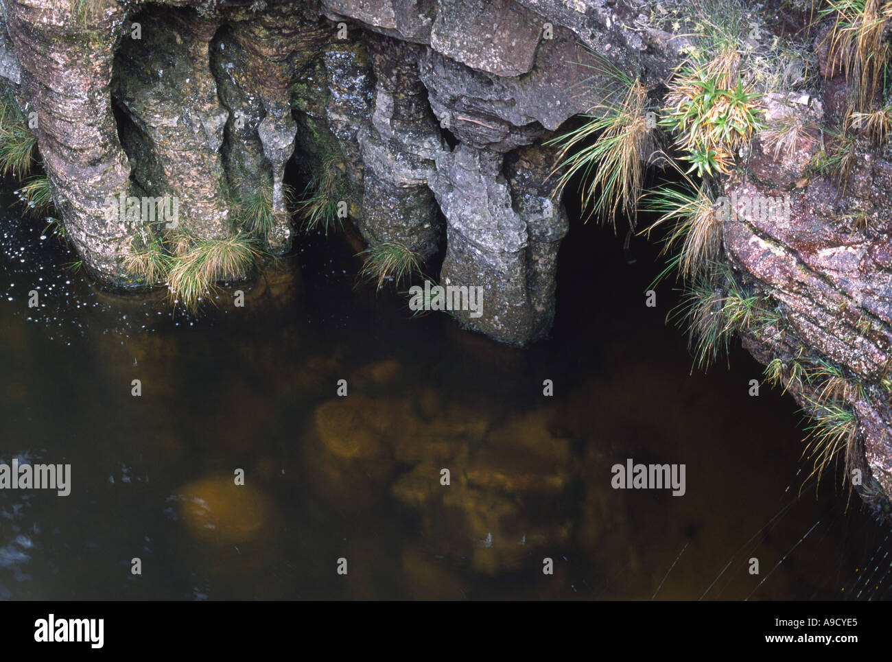 Flooded cave with hanging gardens Monte Roraima Venezuela Stock Photo ...