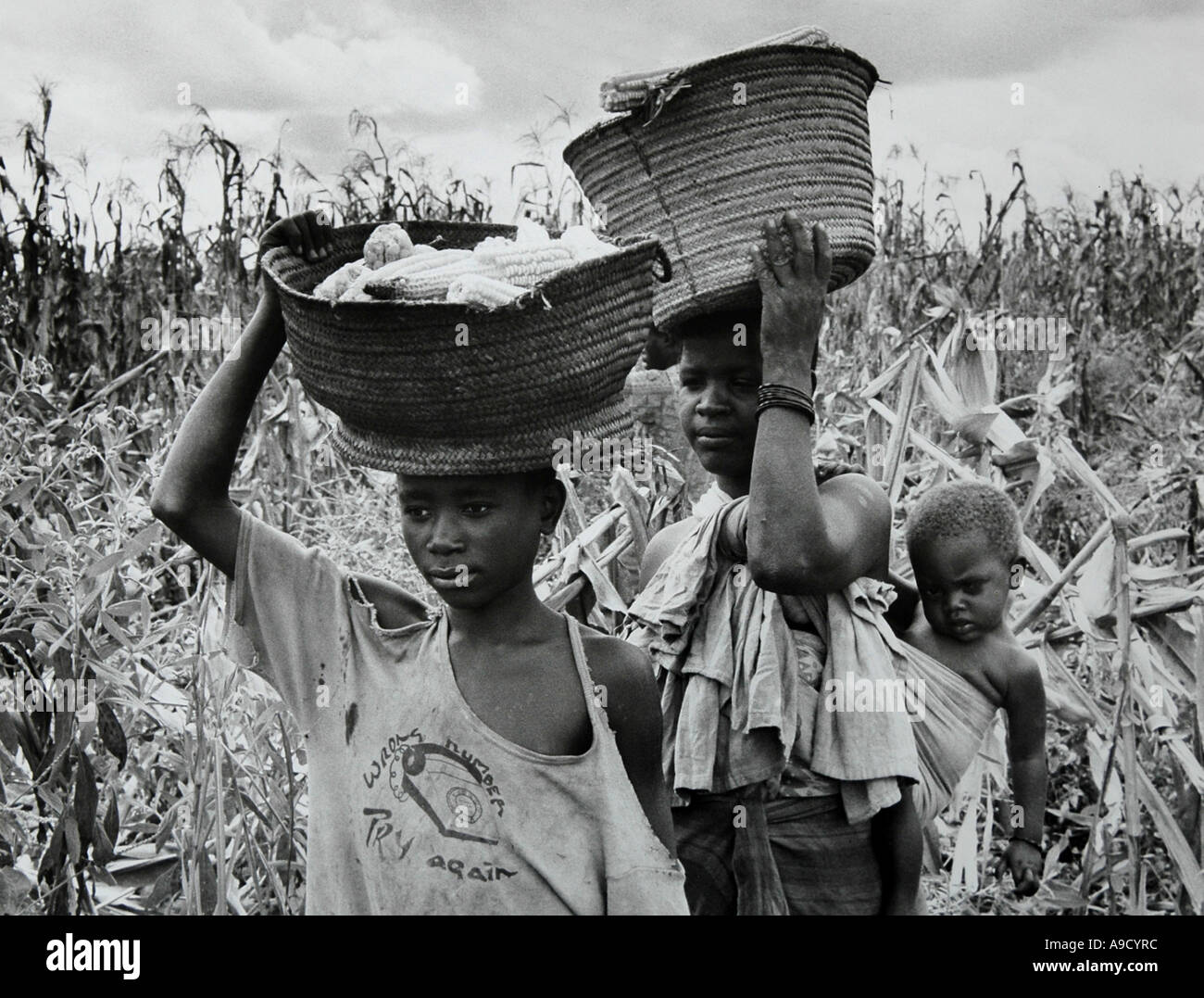 Baskets of maize hi-res stock photography and images - Alamy