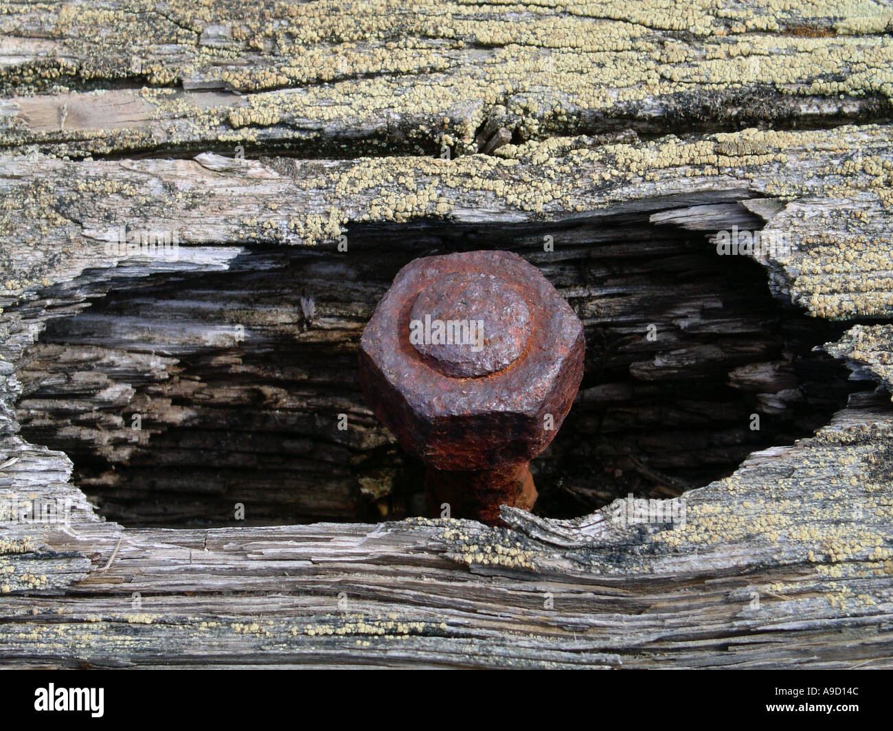 Rusty bolt hi-res stock photography and images - Alamy