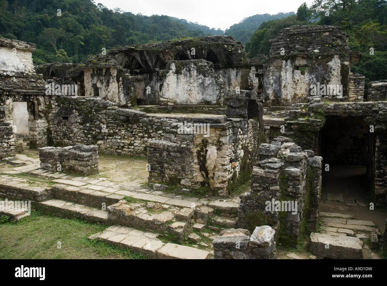 El palacio the palace palenque chiapas maya hi-res stock photography ...