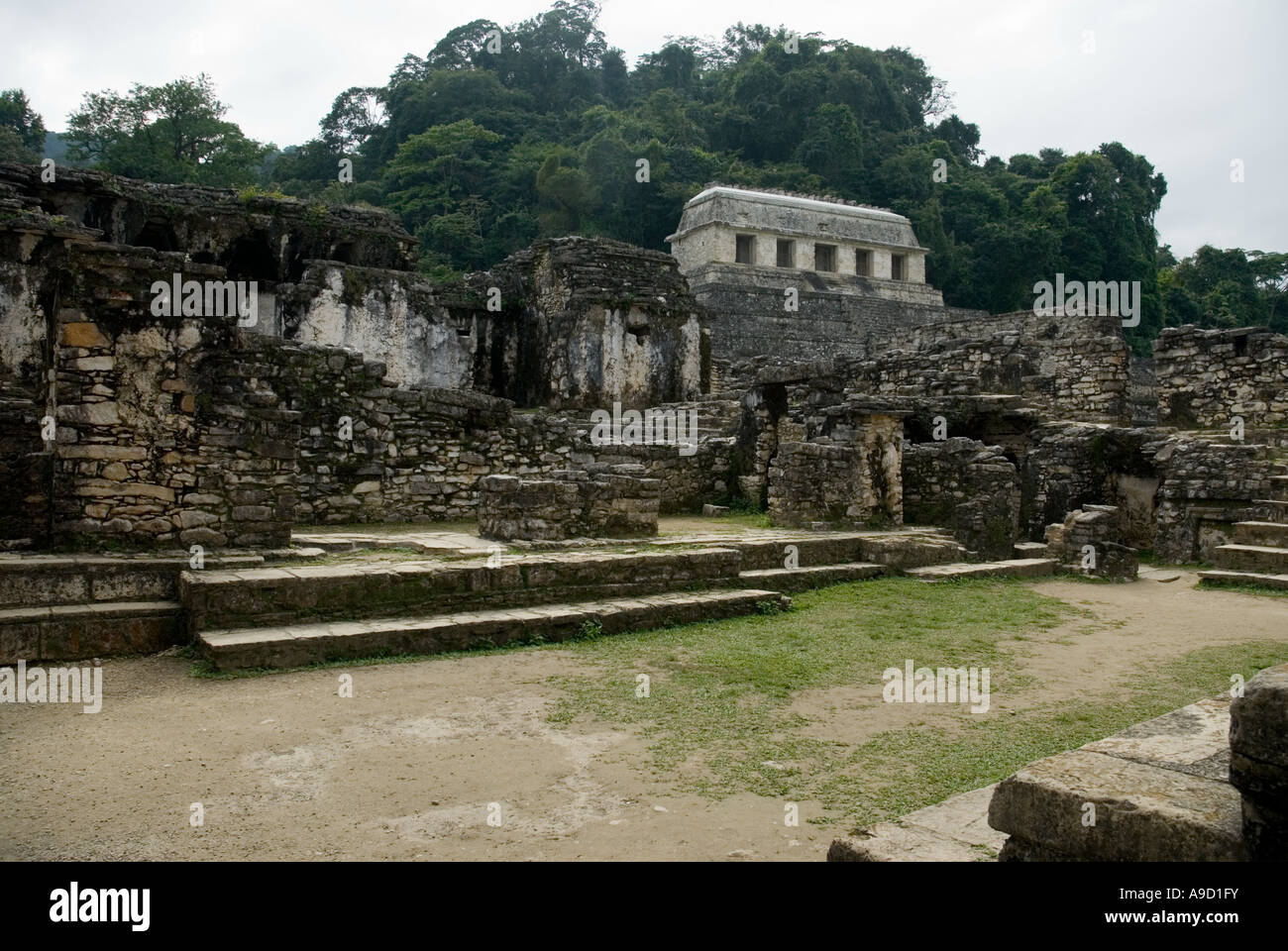 El palacio the palace palenque chiapas maya hi-res stock photography ...