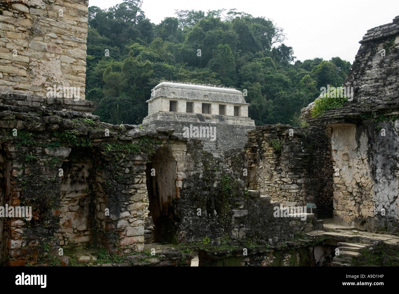 El palacio the palace palenque chiapas maya hi-res stock photography ...