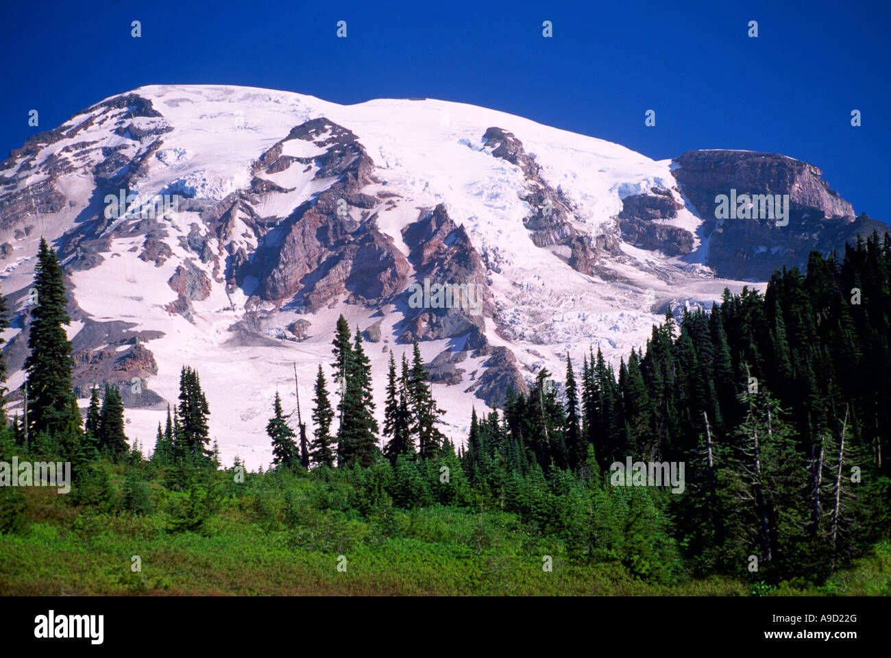 Mount rainier glacier historic hi-res stock photography and images - Alamy