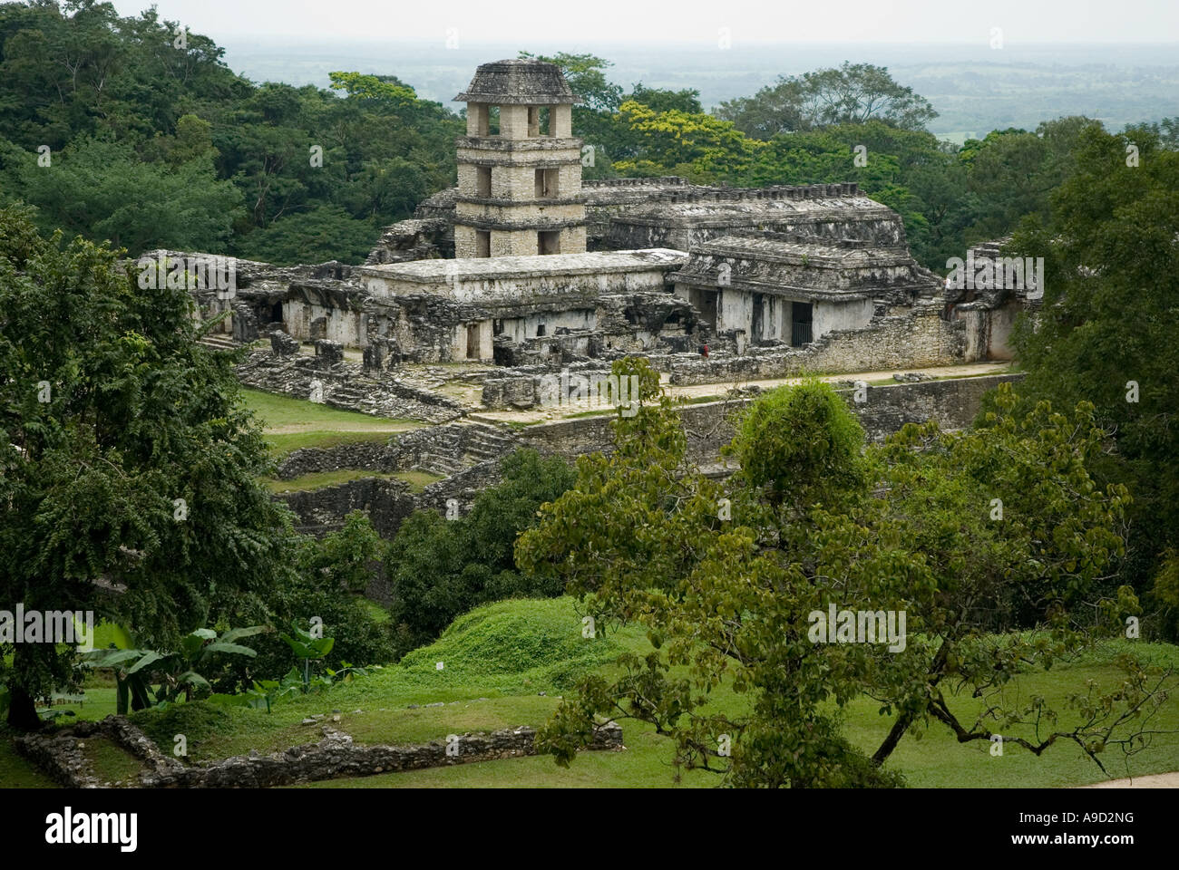 El palacio the palace palenque chiapas maya hi-res stock photography ...
