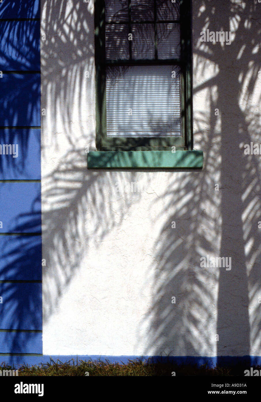 Palm tree shadow Stock Photo - Alamy