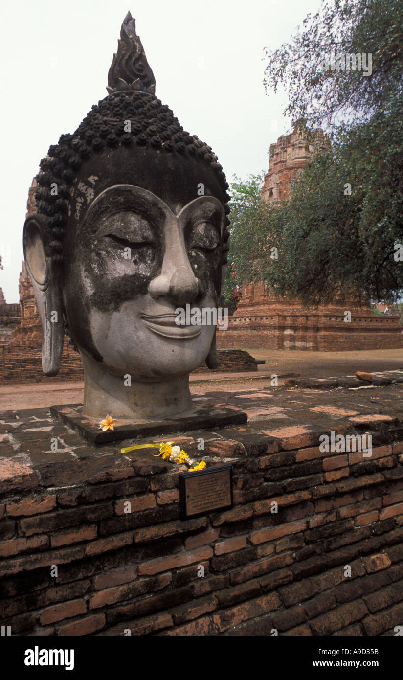Head of a Buddha and a wat in the background at the ruins of Ayuthaya ...